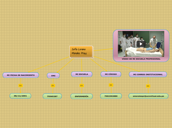 Sofía Lorena Morales Prinz - Mind Map